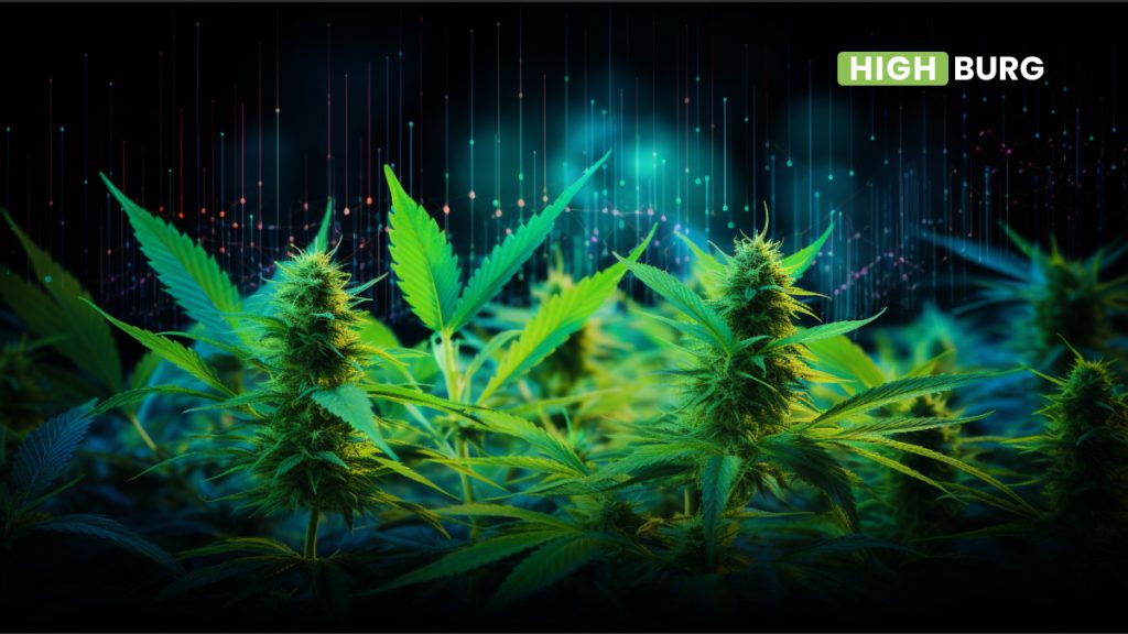 What You Need to Know About Marijuana-Based Mutual Funds - Highburg