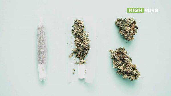 Activated Charcoal Smoking Filters For Cannabis Consumption - Highburg